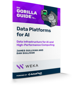 The Gorilla Guide to Data Platforms for AI - WEKA